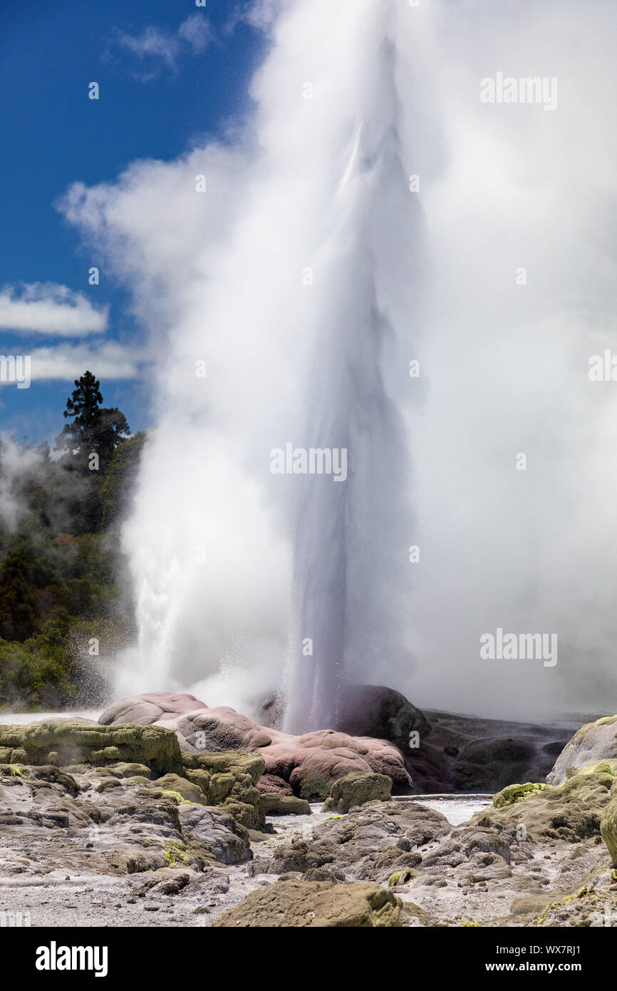 Rotorua maori landmark hi-res stock photography and images - Alamy