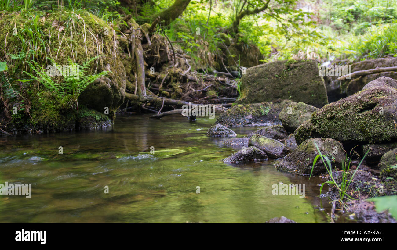 Frog perspective view beautiful hi-res stock photography and images - Alamy