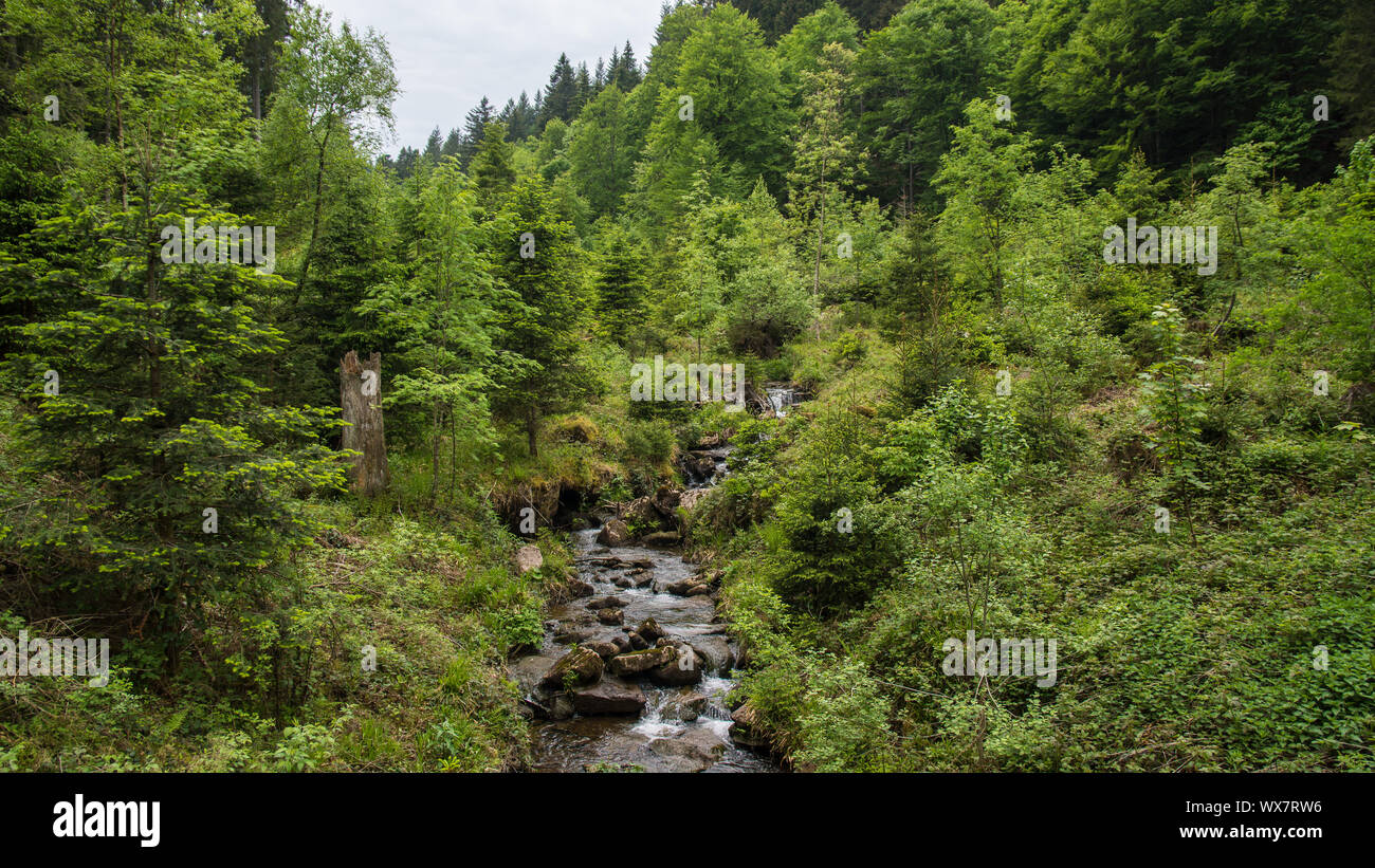 Beautiful rocky river in middle hi-res stock photography and images - Alamy