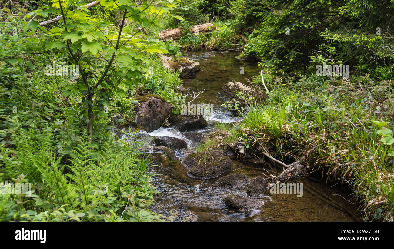 Wet spring hi-res stock photography and images - Alamy
