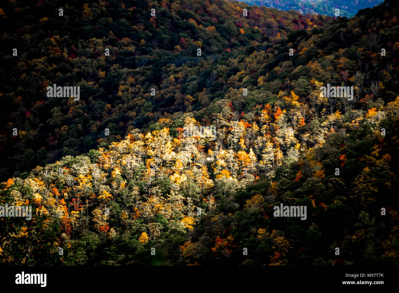 blue ridge and smoky mountains changing color in fall Stock Photo - Alamy