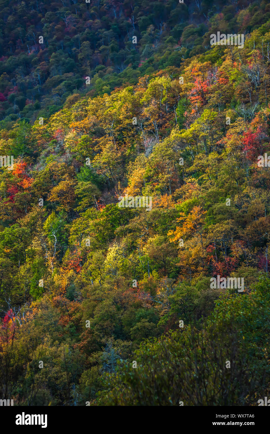 blue ridge and smoky mountains changing color in fall Stock Photo - Alamy