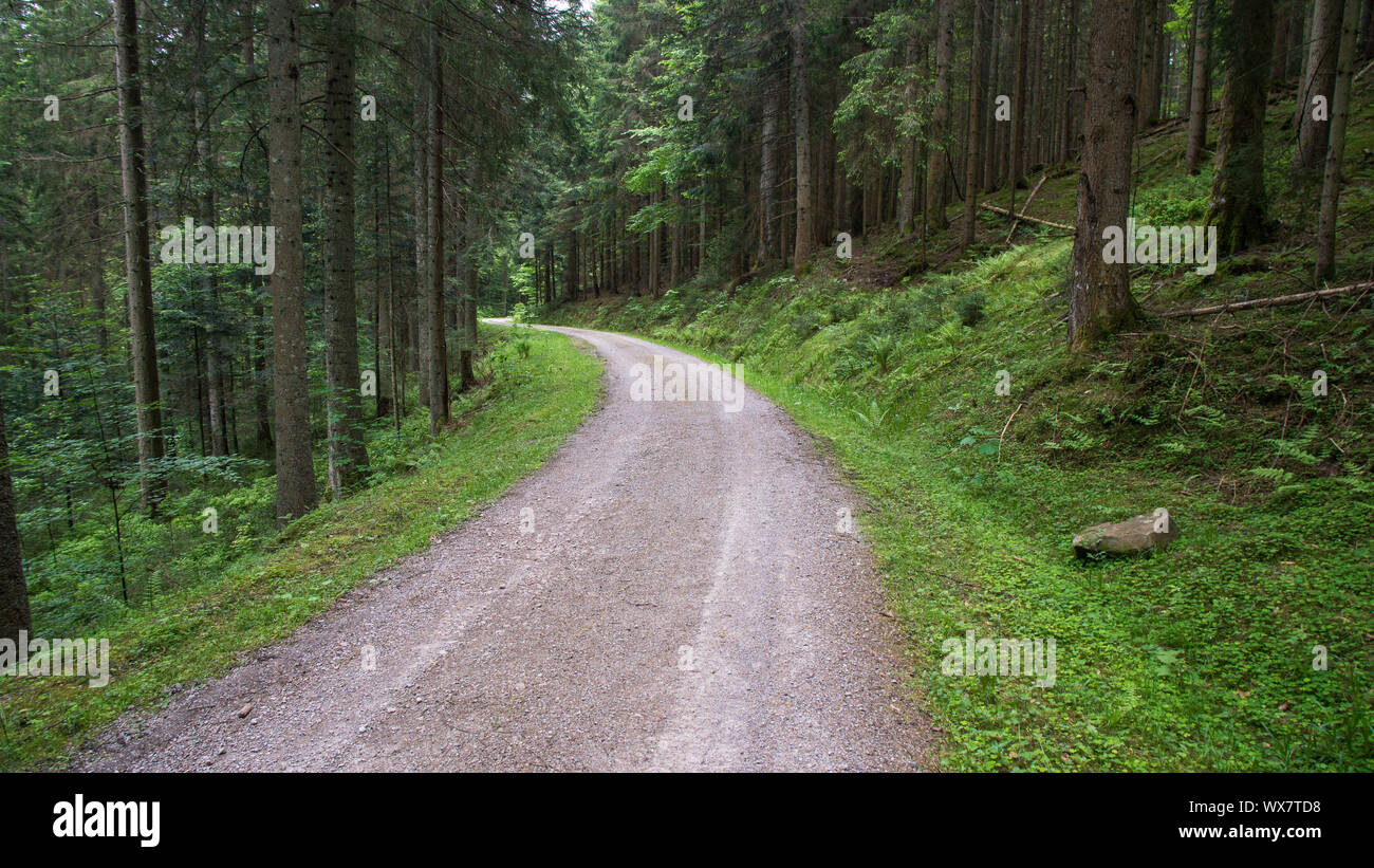 Street through forest hi-res stock photography and images - Alamy