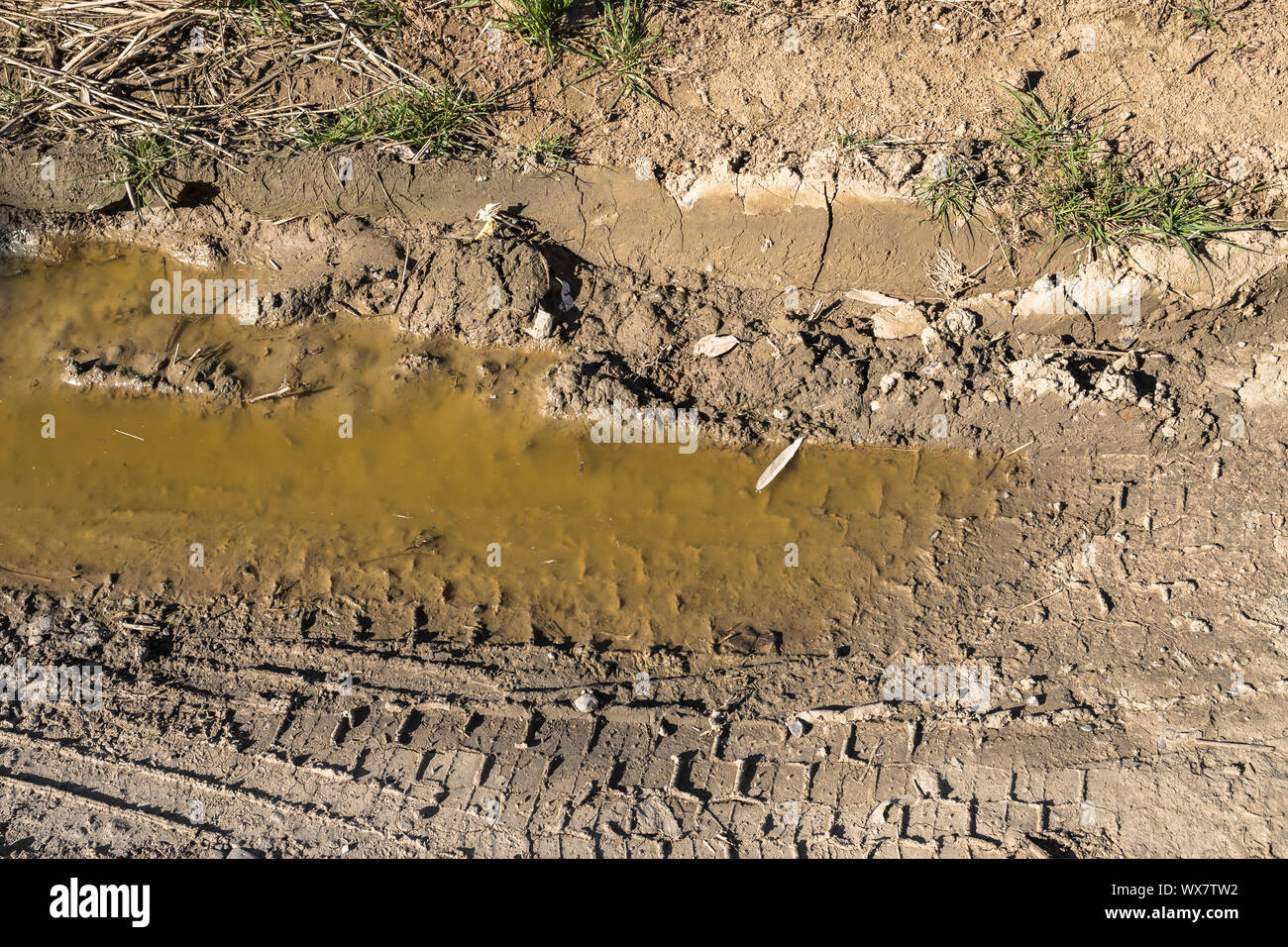 Drought mud puddle hi-res stock photography and images - Alamy