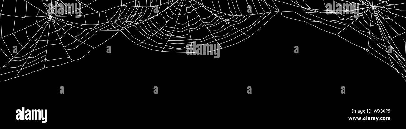 Spider cobweb border on Black and White Stock Photos & Images - Alamy
