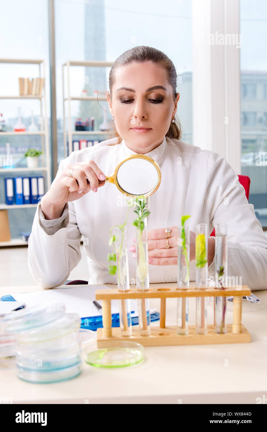 Female biotechnology scientist chemist working in the lab Stock Photo ...