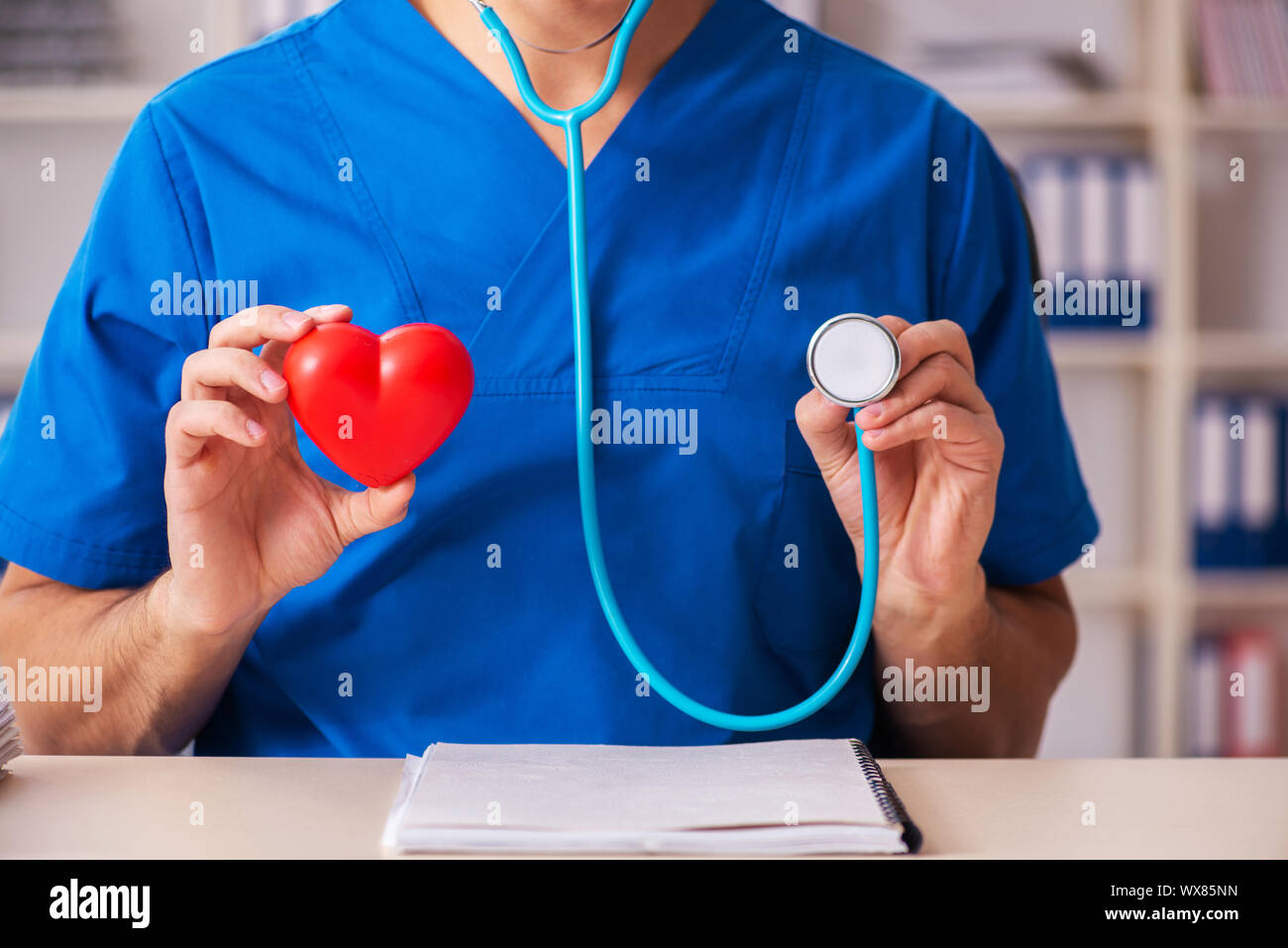 Male doctor cardiologist holding heart model Stock Photo - Alamy