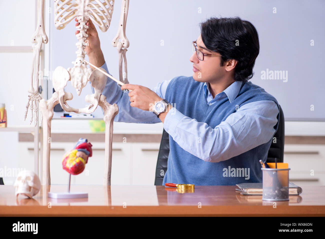 Anatomy lesson university hi-res stock photography and images - Alamy