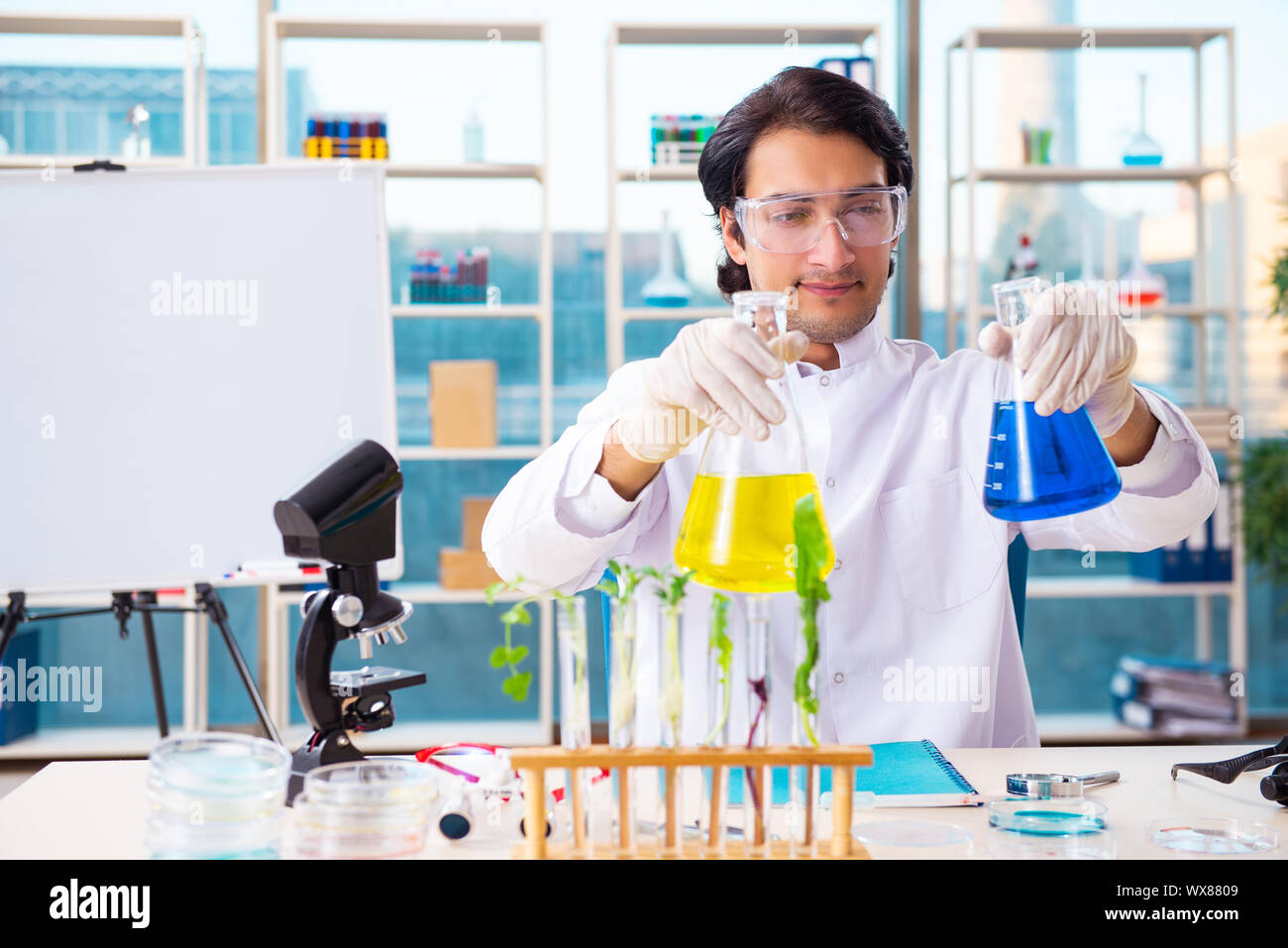 Male biotechnology scientist chemist working in the lab Stock Photo - Alamy