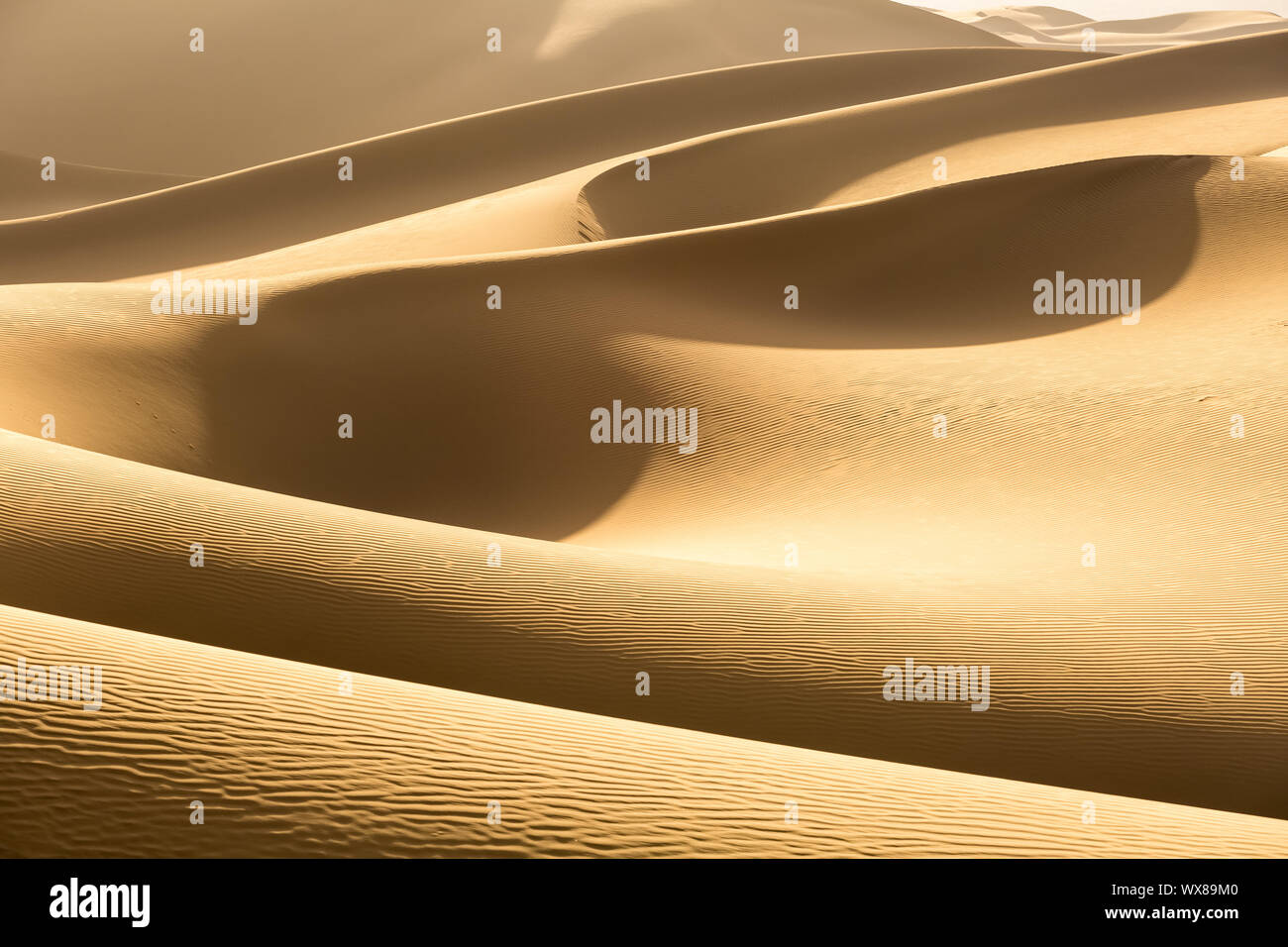 Closeup light hi-res stock photography and images - Alamy