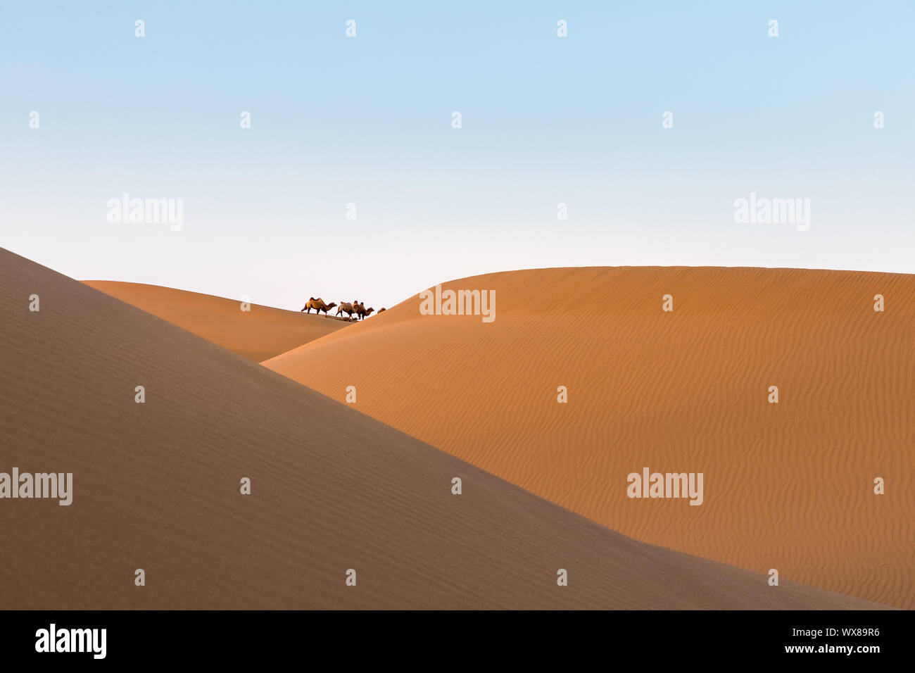desert landscape at dusk Stock Photo - Alamy