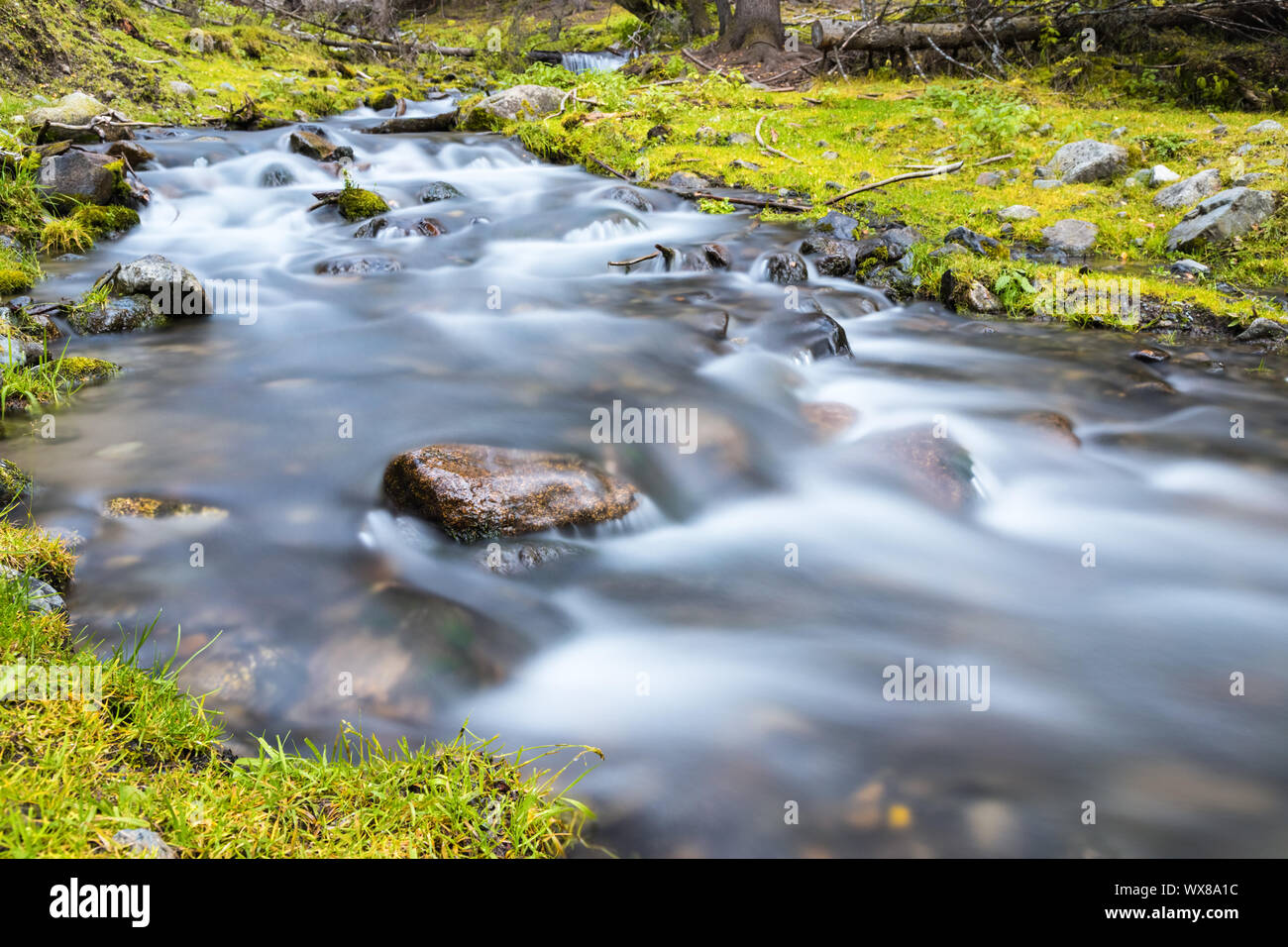 beautiful stream closeup Stock Photo - Alamy