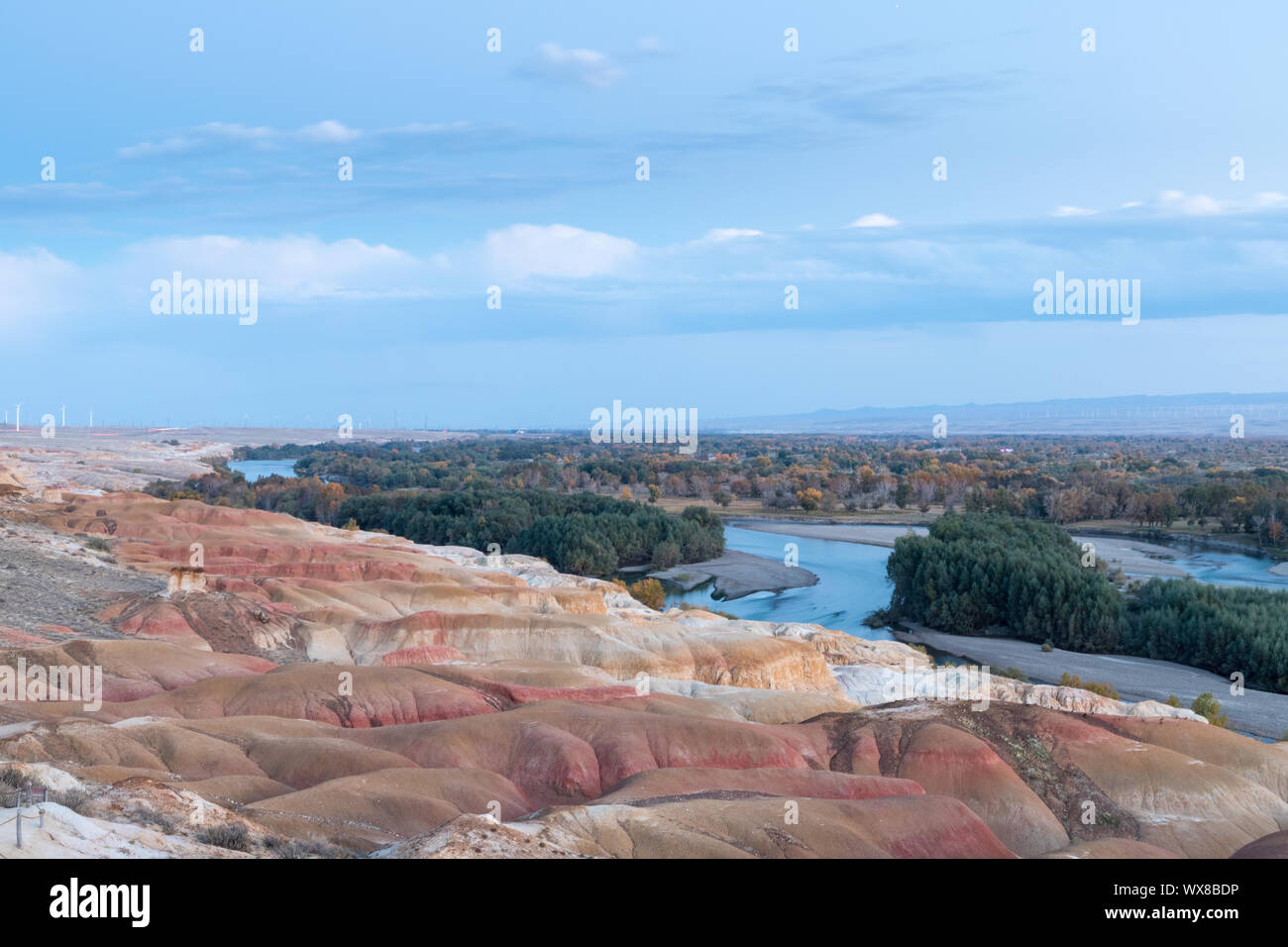 Nightfall tree hi-res stock photography and images - Alamy
