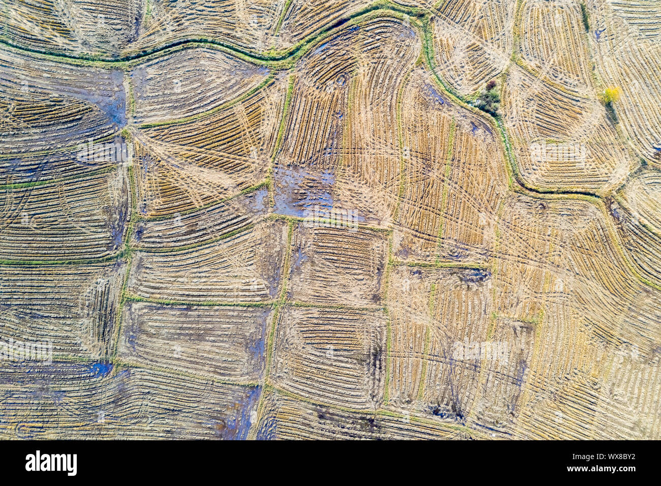 Rice paddy fields view hi-res stock photography and images - Alamy