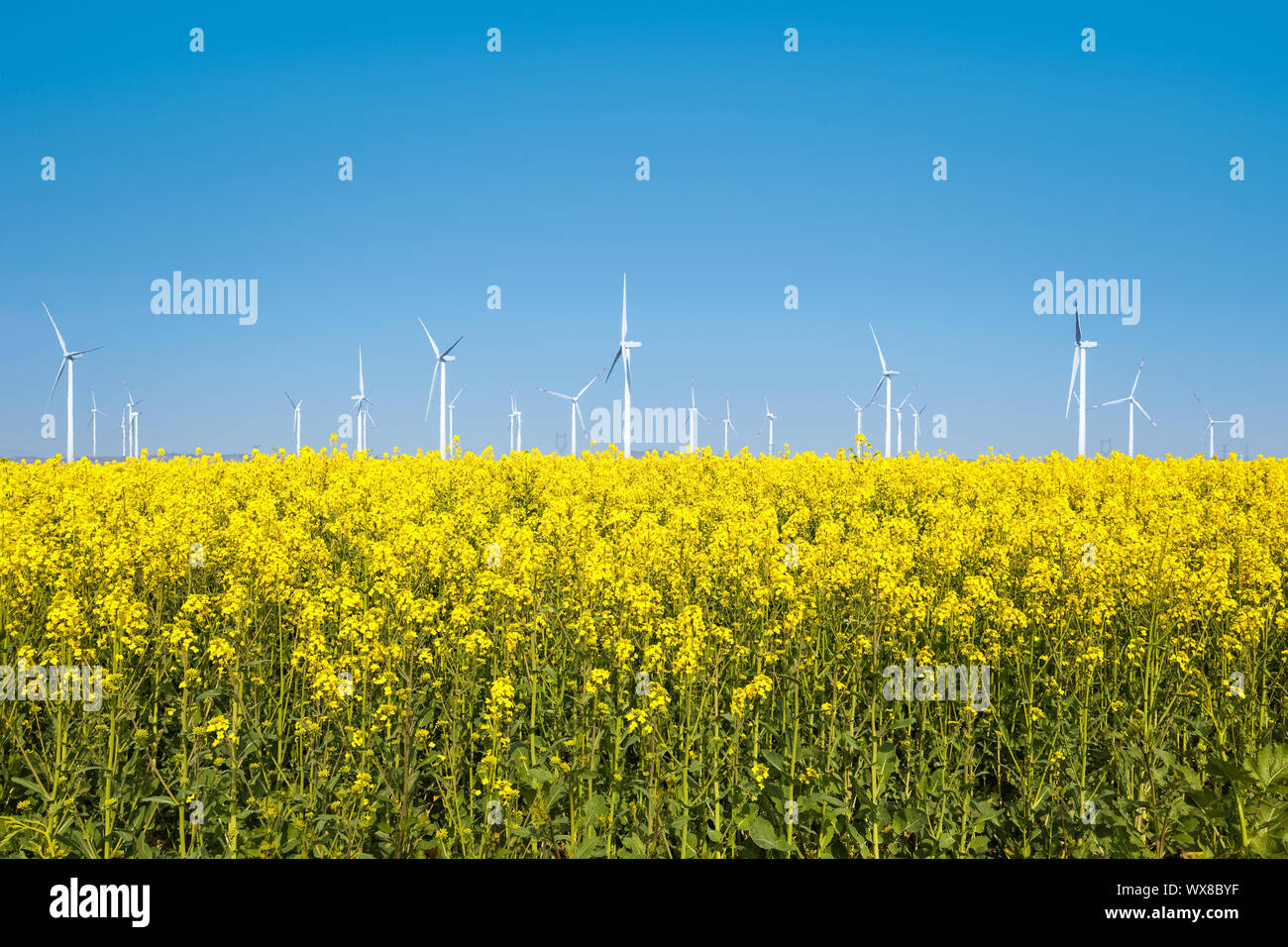 spring landscape with wind turbines Stock Photo - Alamy