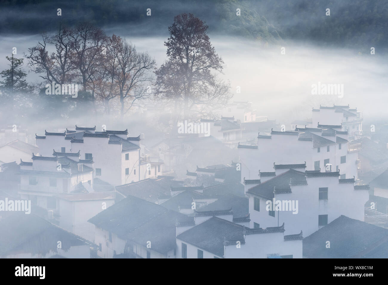 Beautiful scene landscape black hi-res stock photography and images - Alamy