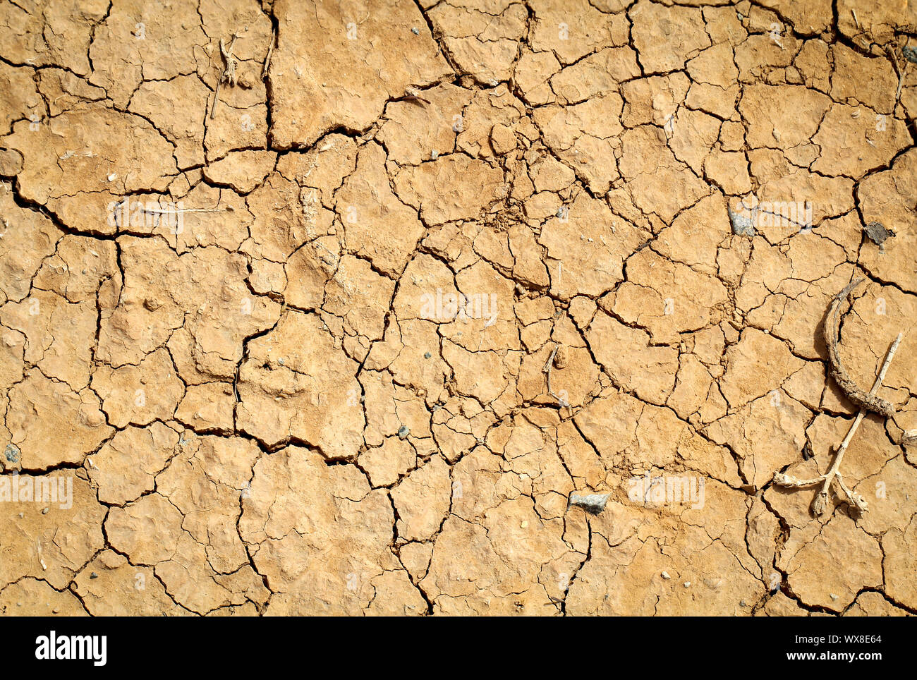 dry earth, sand, an example of climate change Stock Photo - Alamy