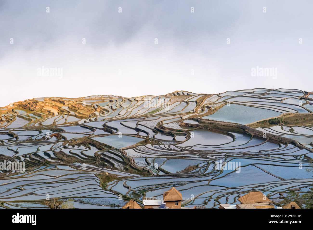 Paddy field on mountain hi-res stock photography and images - Alamy