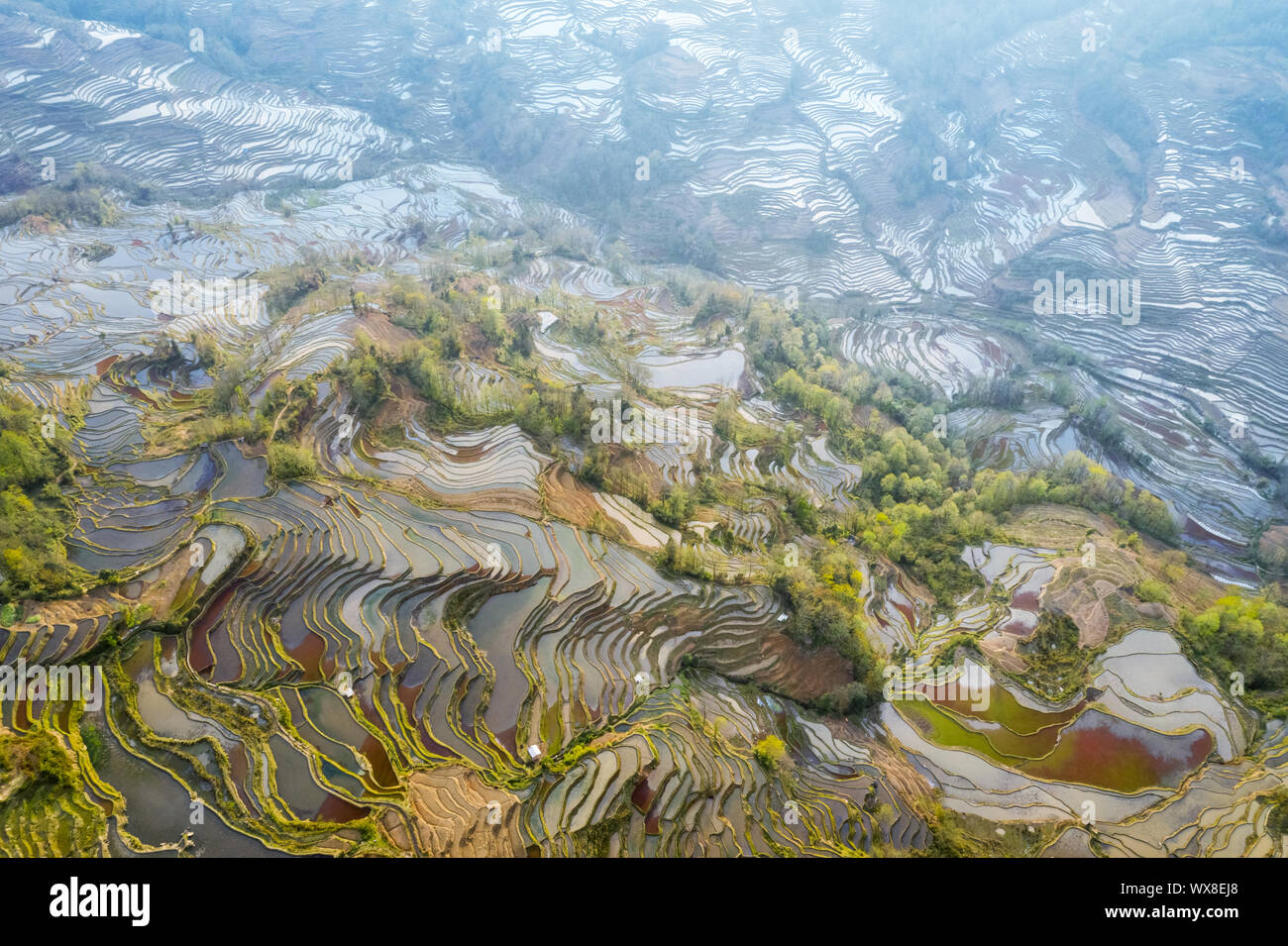 Aerial farmland forest hi-res stock photography and images - Alamy