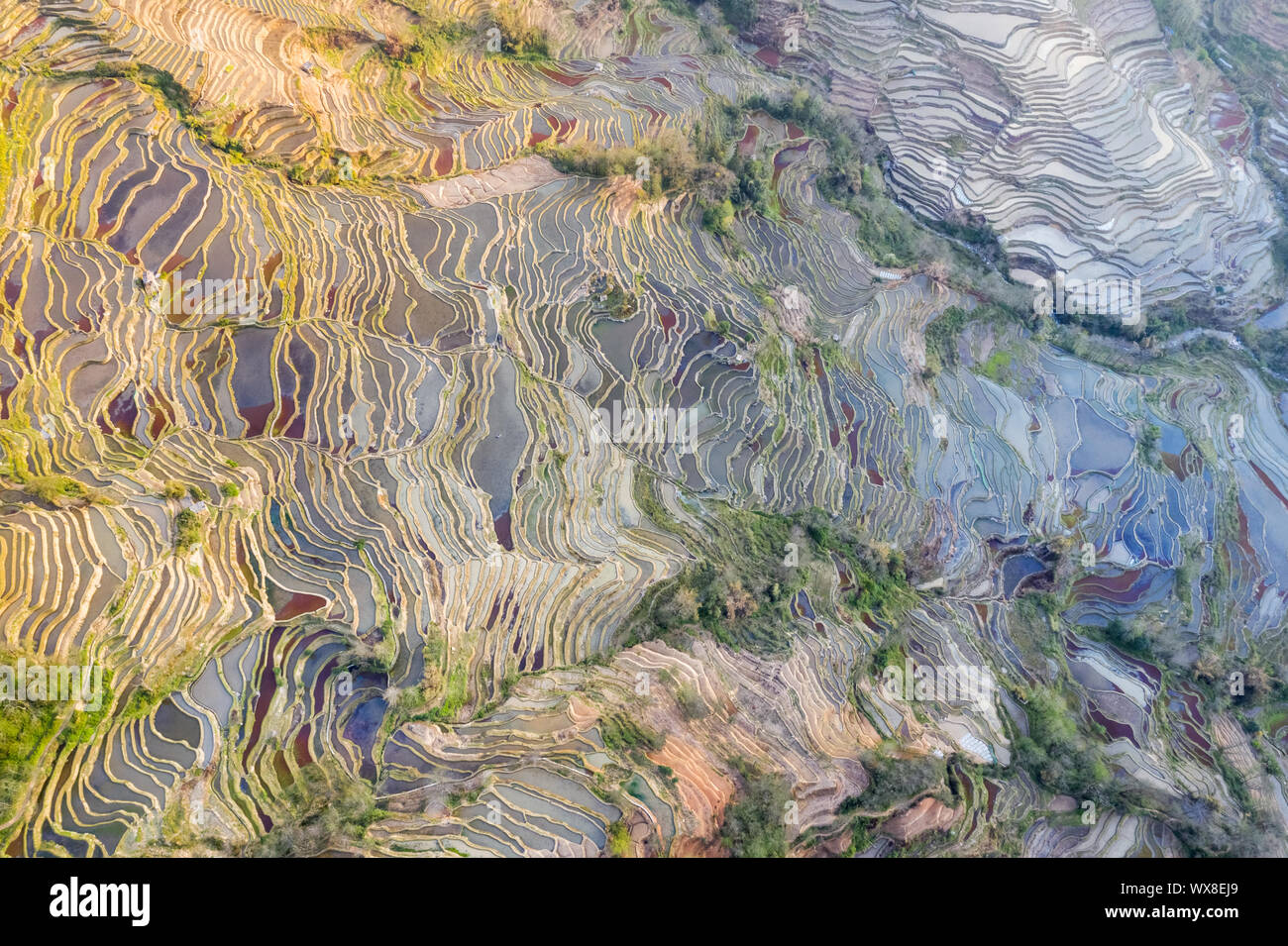 terraced field texture background Stock Photo - Alamy