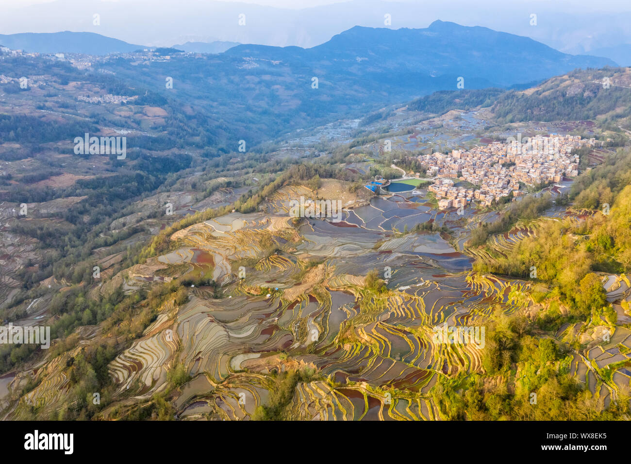 rice terraces fields in high mountain Stock Photo - Alamy