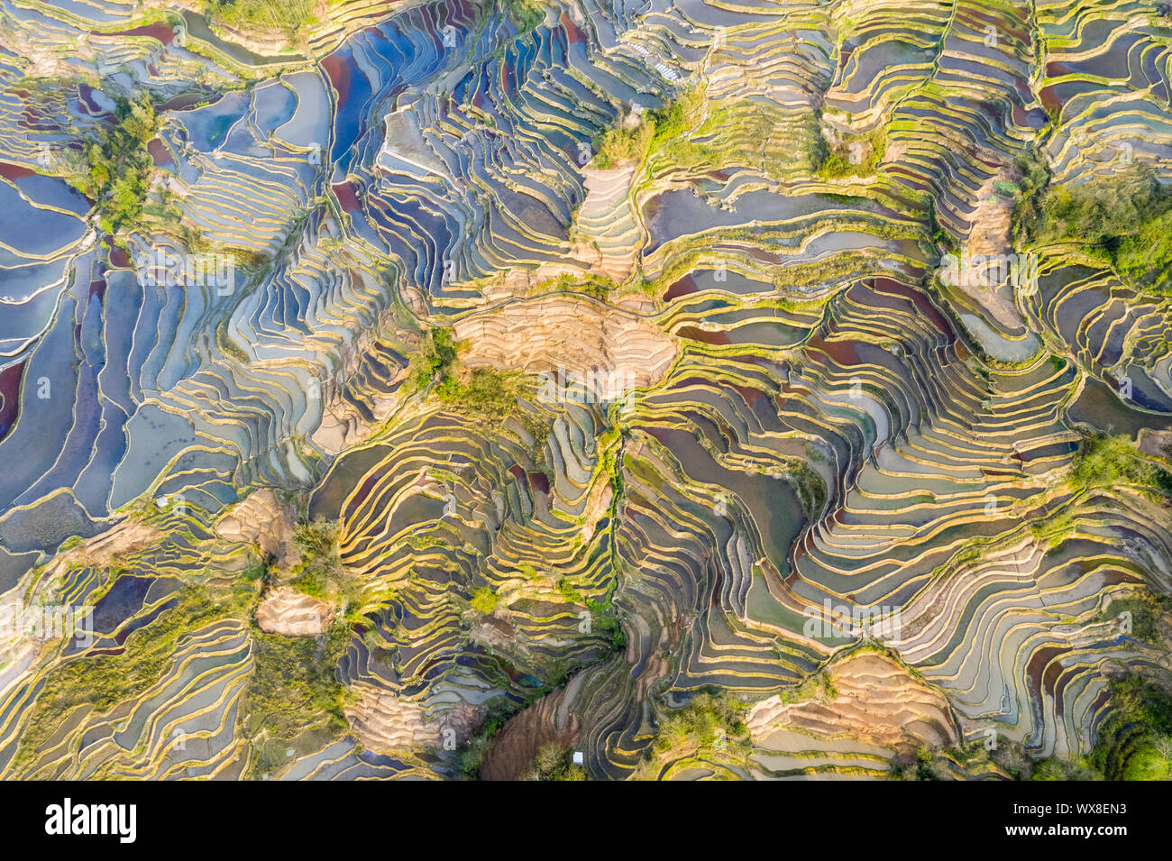 aerial view of terraced field texture Stock Photo - Alamy