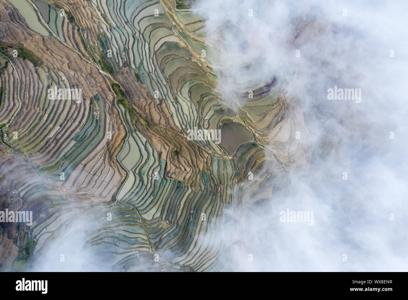 Farmland terrace hi-res stock photography and images - Alamy