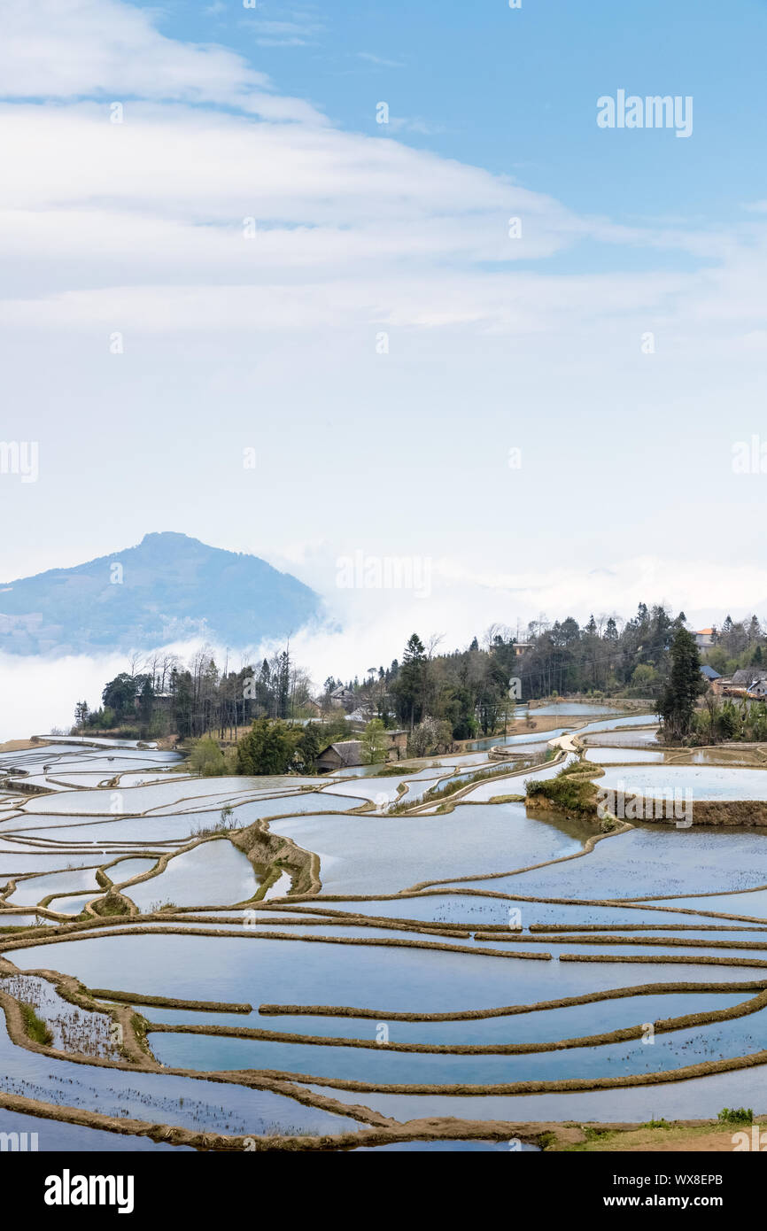 Terraced landscape hi-res stock photography and images - Alamy