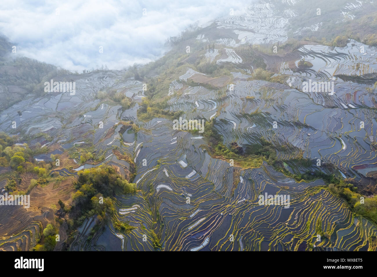 Beautiful earth hi-res stock photography and images - Alamy