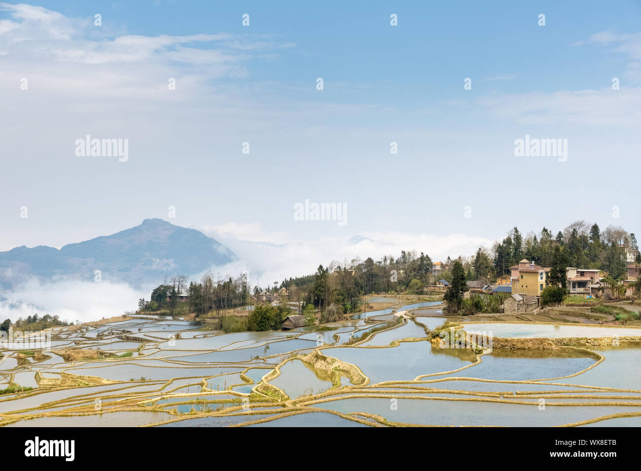 Scenic paddy field hi-res stock photography and images - Alamy