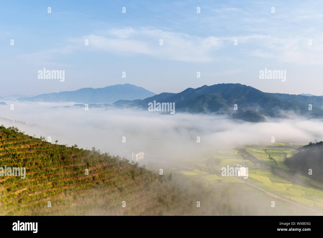 beautiful wuyuan spring scenery Stock Photo - Alamy