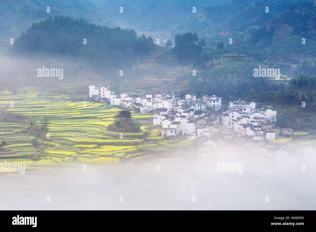 beautiful wuyuan spring scenery Stock Photo - Alamy