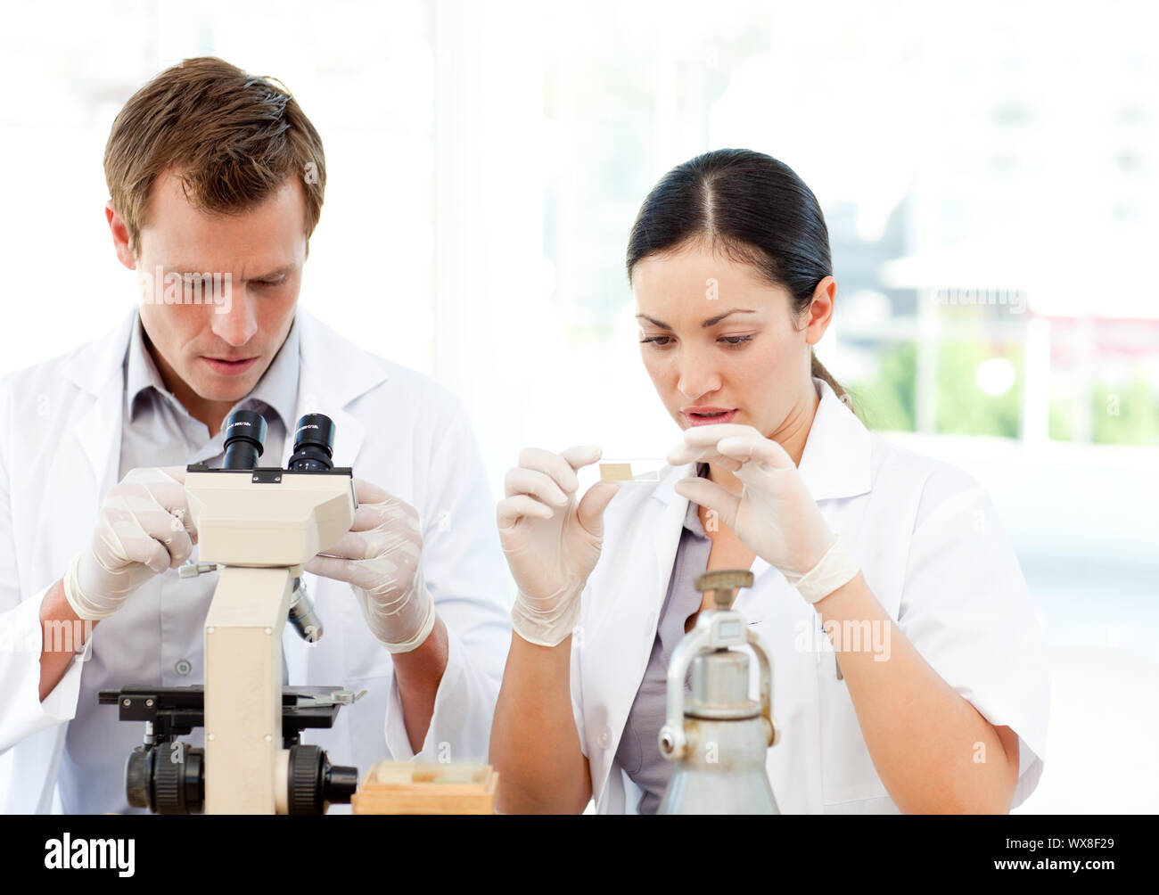 Attractive students of science working in a laboratory Stock Photo - Alamy