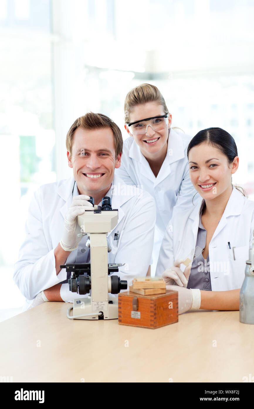 Science students working together in a laboratory Stock Photo - Alamy