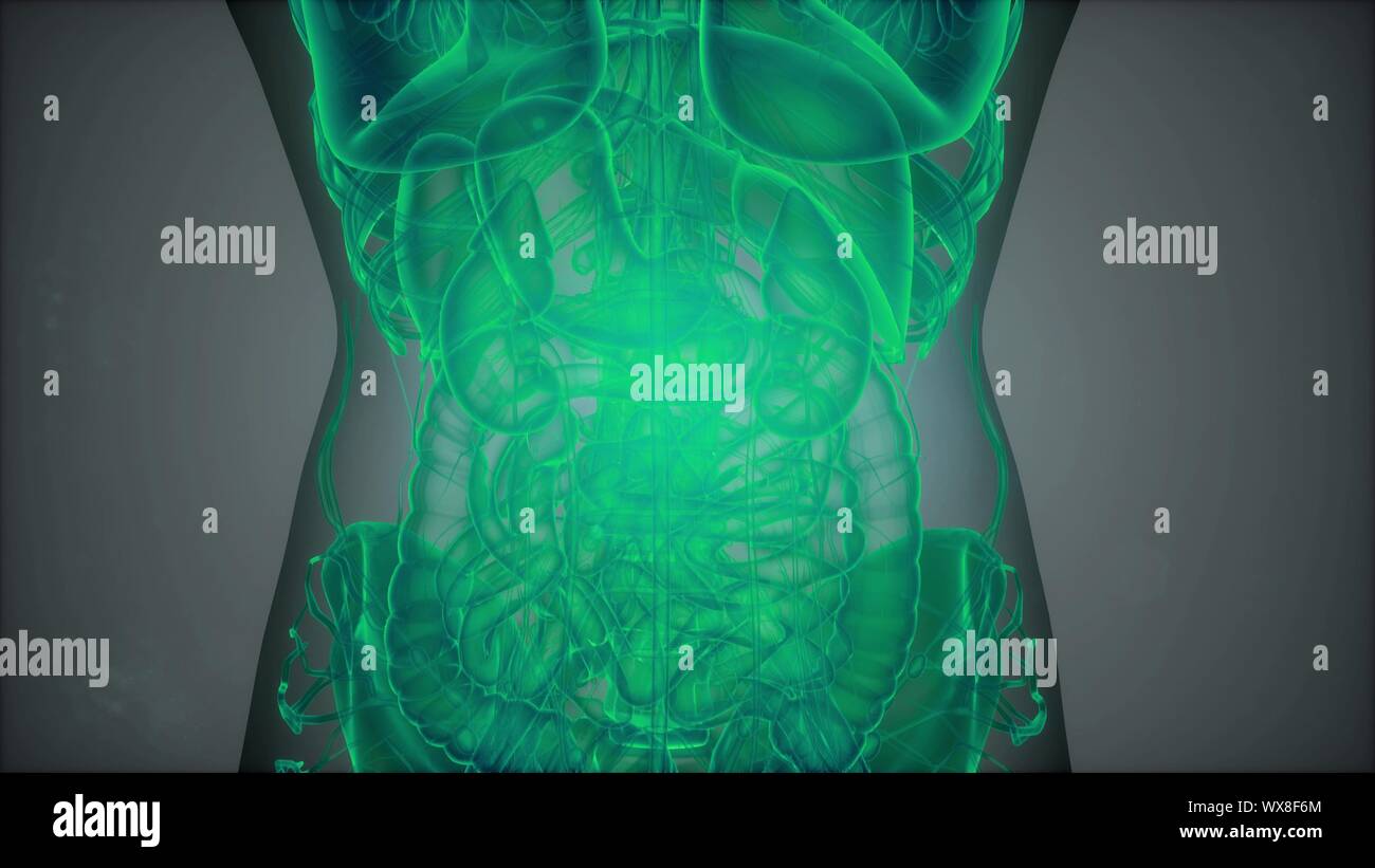 3D magnetic resonance image scan Stock Photo - Alamy