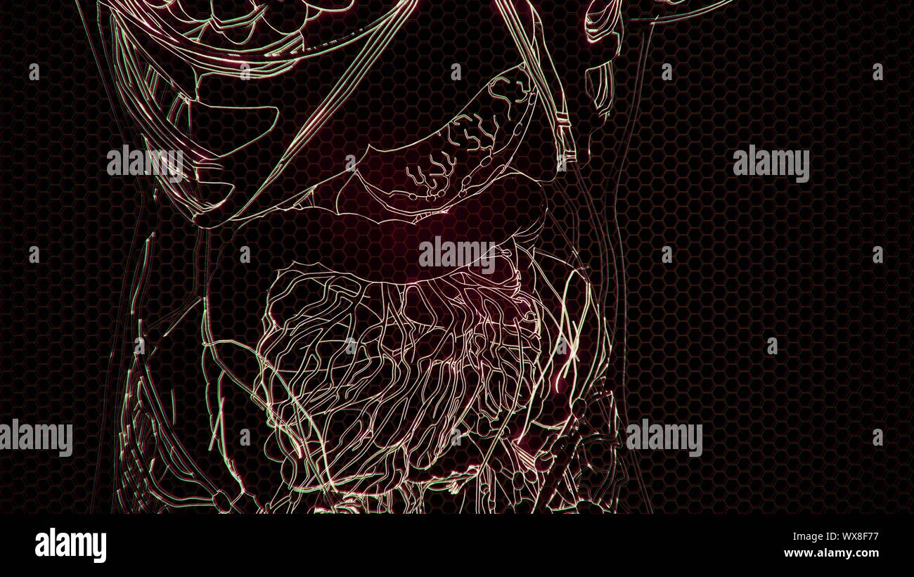 Transparent Human Body with Visible Bones Stock Photo - Alamy