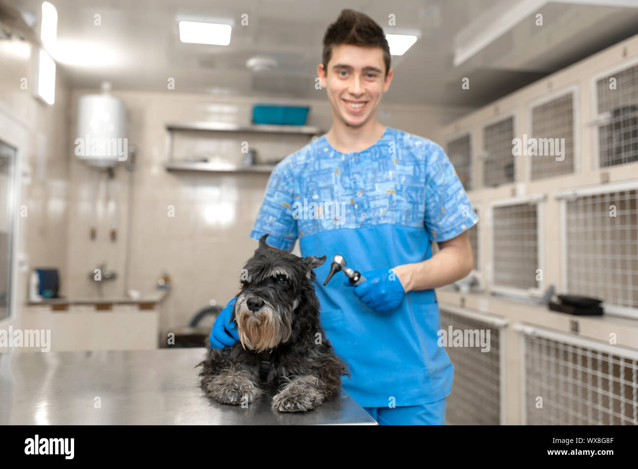 Veterinary technician cute hi-res stock photography and images - Alamy