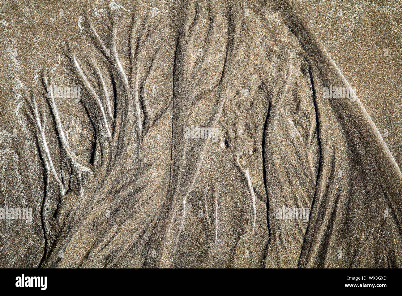 Sand texture drawn by waves Stock Photo - Alamy