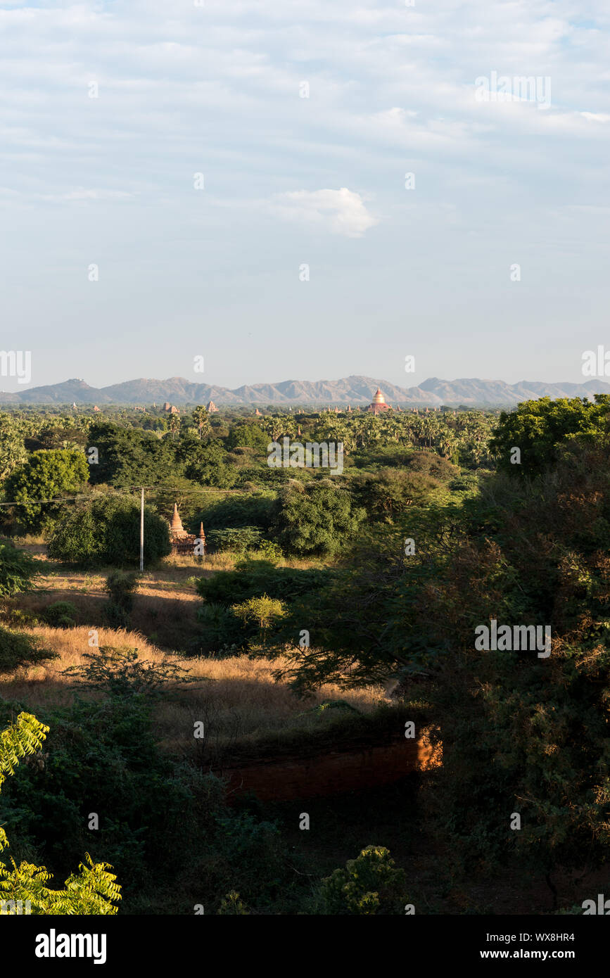 Vertical picture of spetacular view of nature in the archeological park ...
