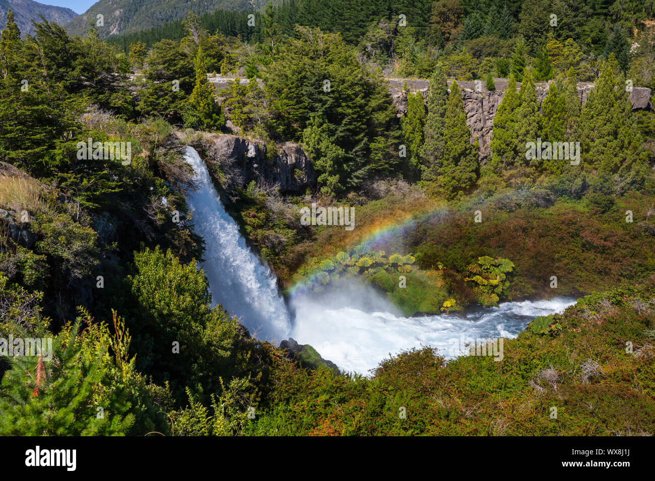 Beautiful river waterfall plant in hi-res stock photography and images ...