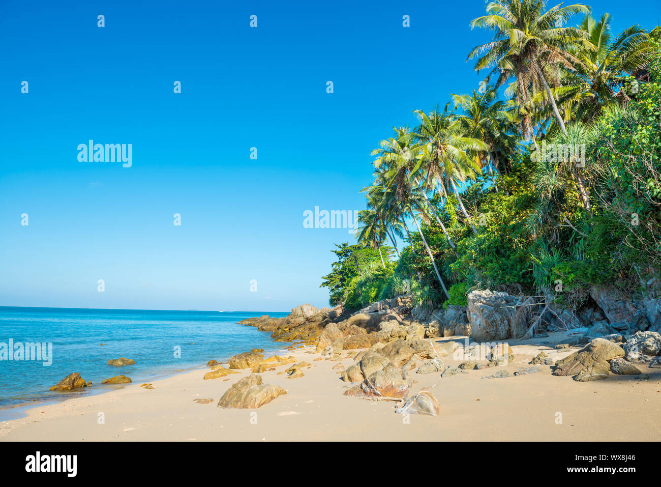 Tropical beach with rocks and palm trees Stock Photo - Alamy