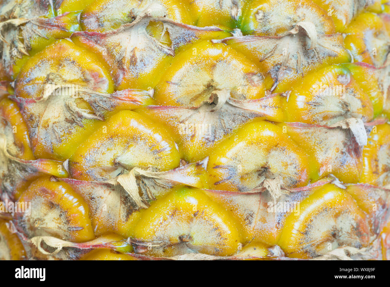Texture of pineapple skin Stock Photo - Alamy