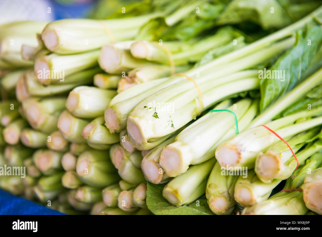 Asian green leafy vegetables hi-res stock photography and images - Alamy