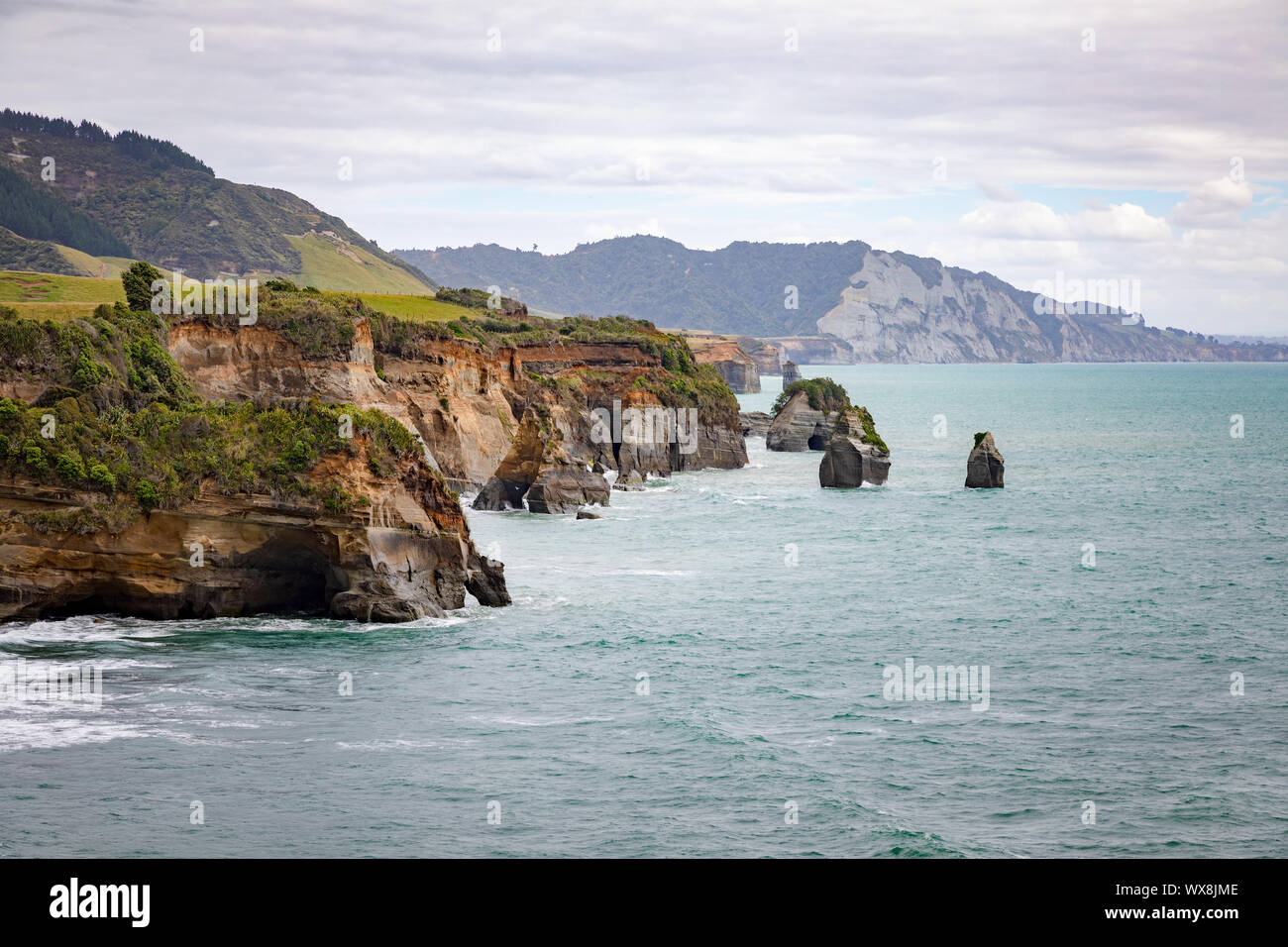 Sea mount hi-res stock photography and images - Alamy