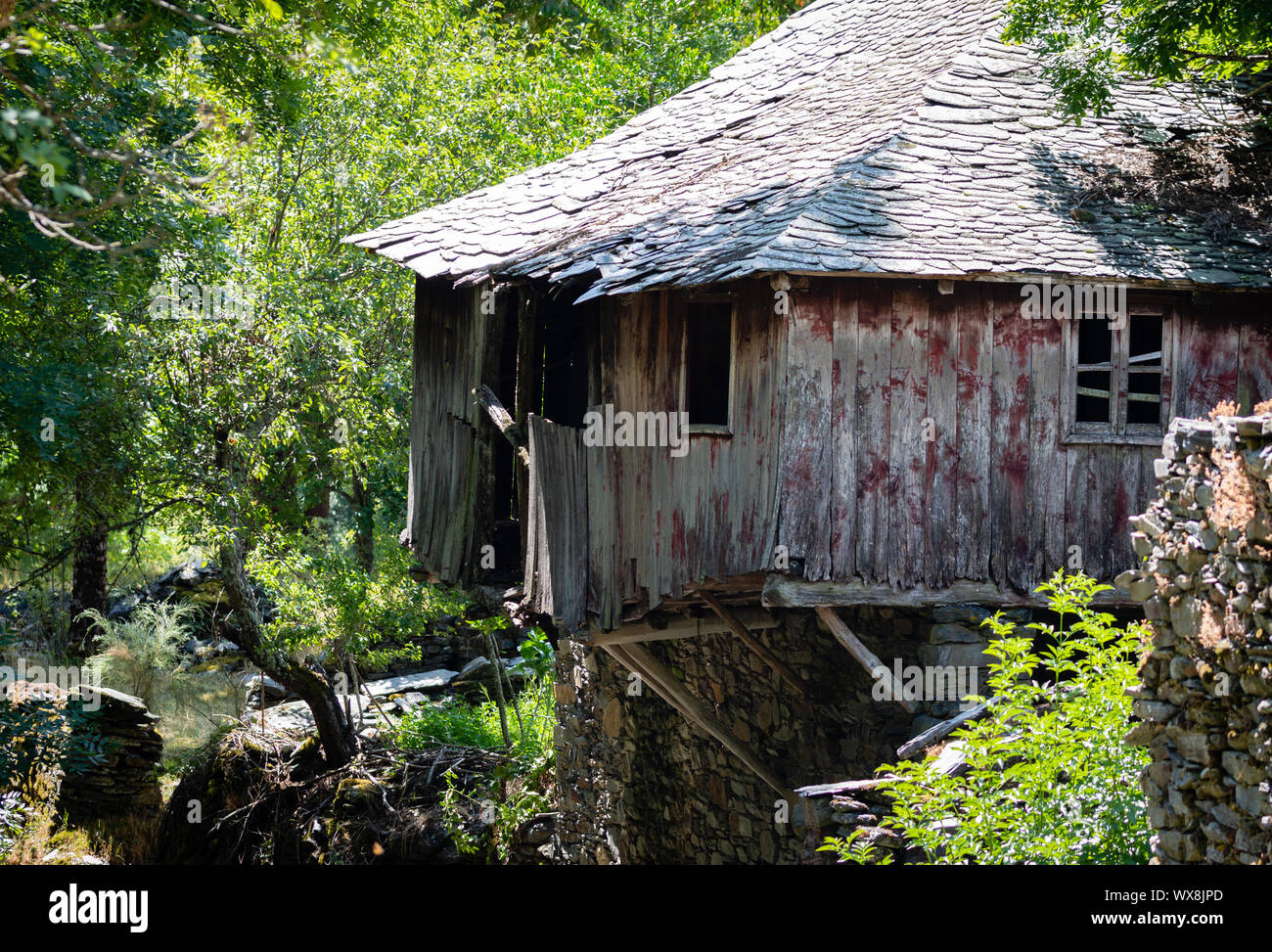 Old Broken House