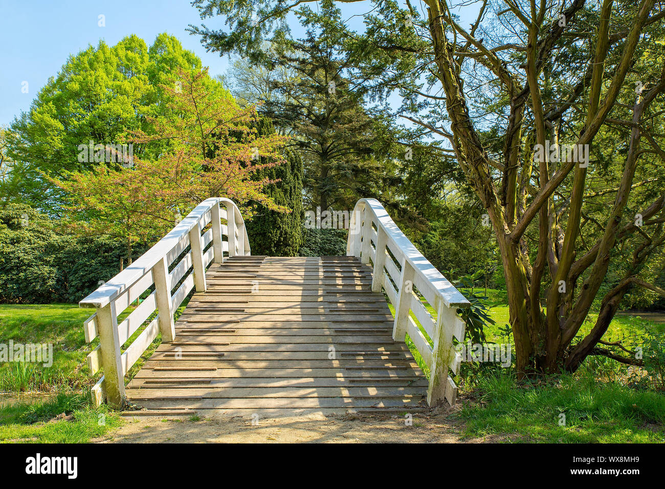Dutch wooden arch bridge in park during spring Stock Photo - Alamy