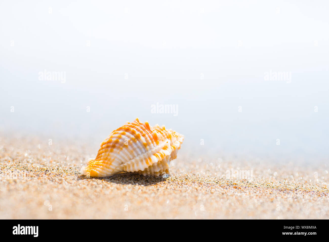 Beautiful shot water white sandy hi-res stock photography and images ...
