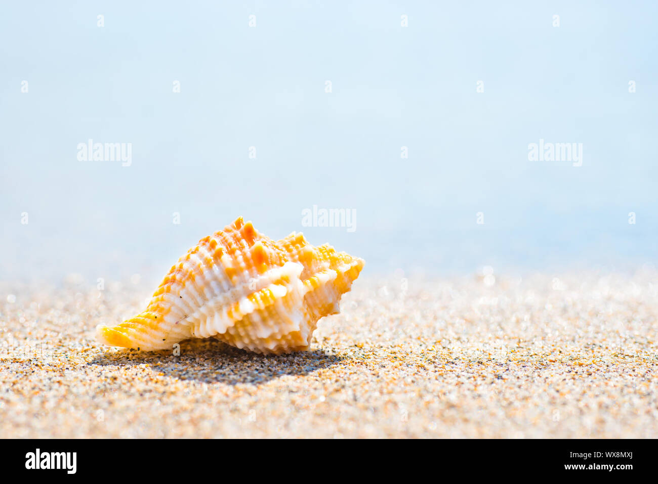 Beautiful shot paradise beach hi-res stock photography and images - Alamy
