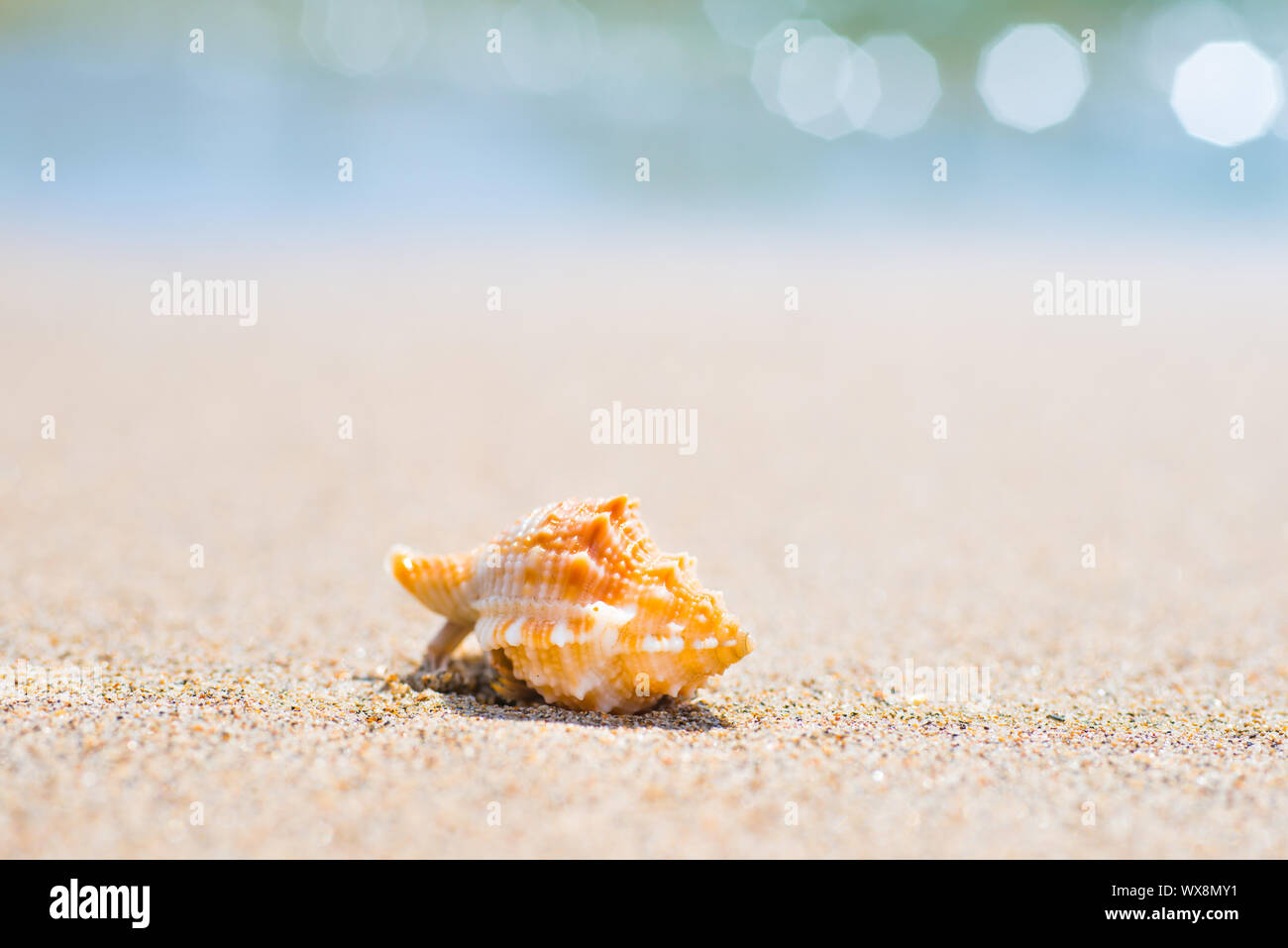 Beautiful shot ocean coast island hi-res stock photography and images ...
