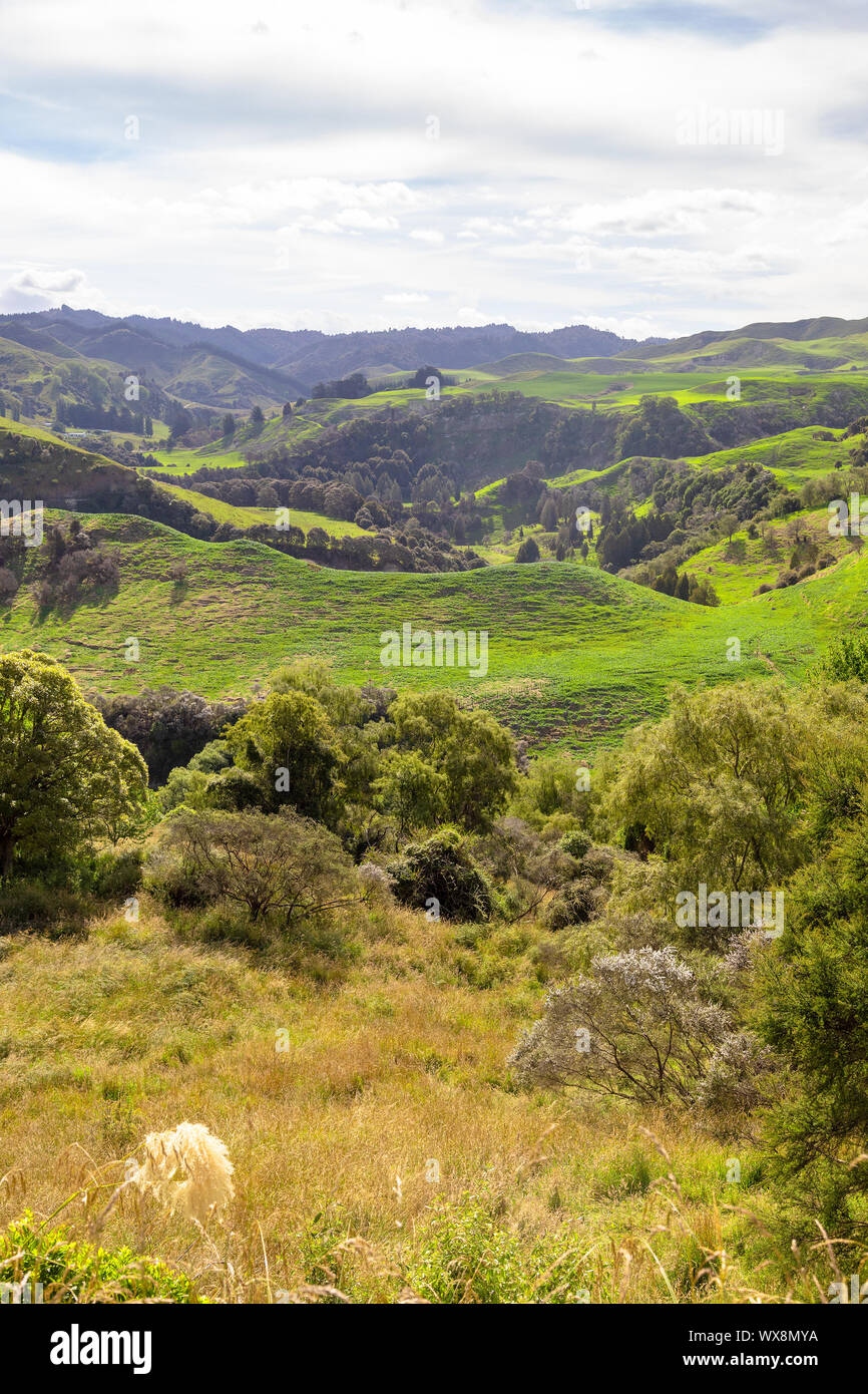New zealand north island culture hi-res stock photography and images ...